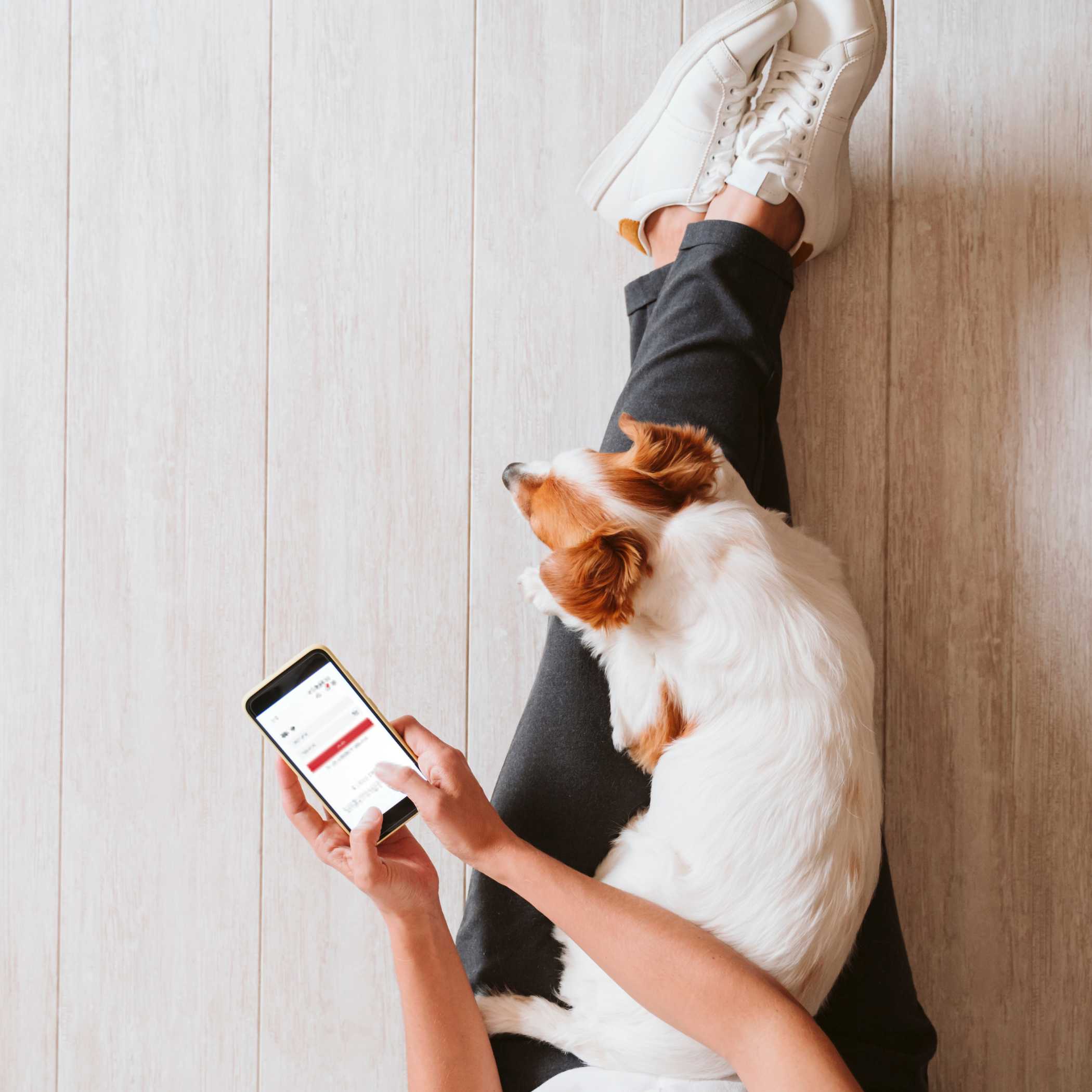 Complete guide to the new BPI app | BPI